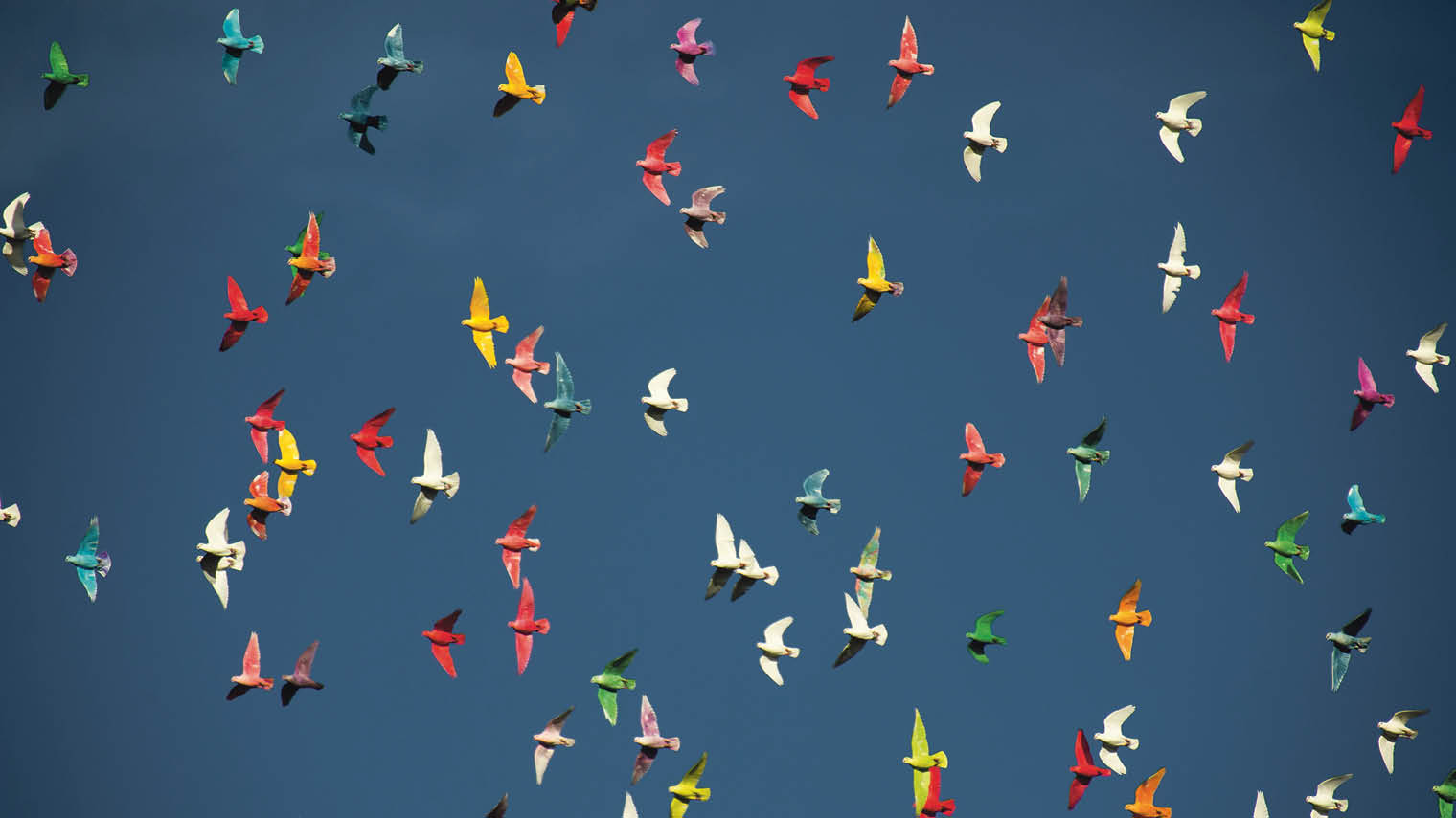 Making The Business Case For Workplace Diversity Raconteur