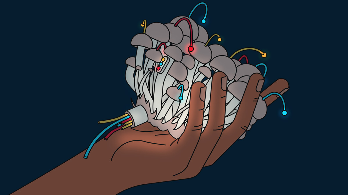 Could fungal computers help ease workplace stress? - Raconteur